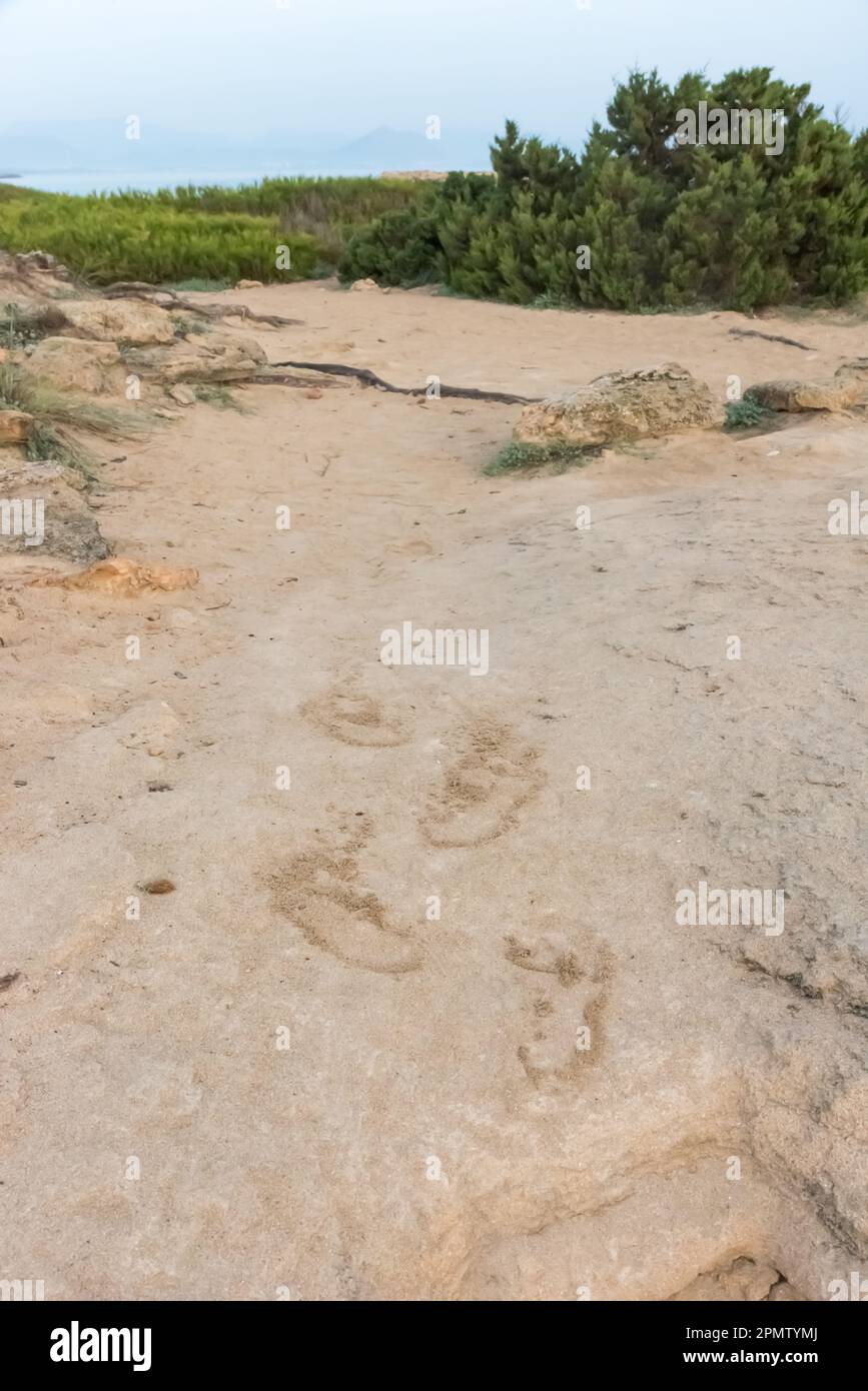 Footprints in the sand of a nature reserve on Majorca, spain Stock ...