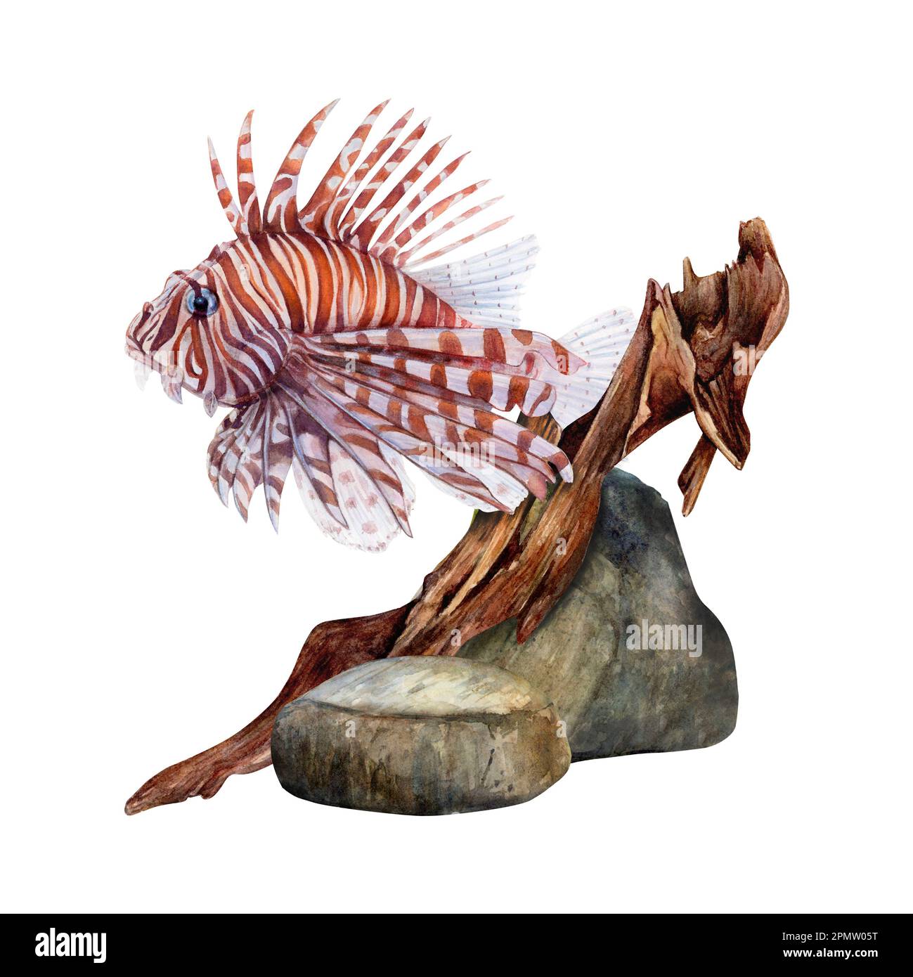 Smelly Fish Clipart Lionfish