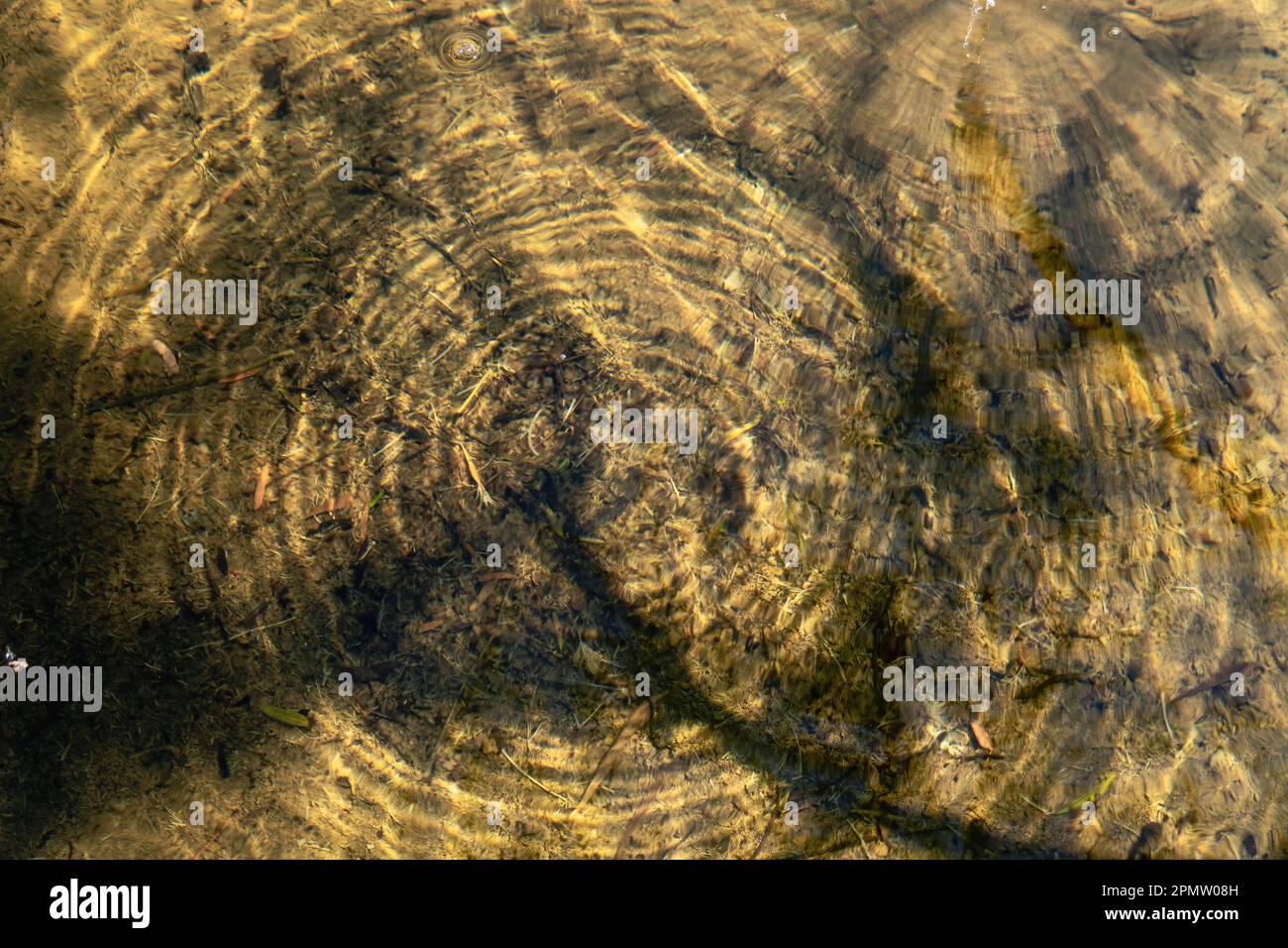 A dirty water drops falling forming ripples and lights reflection ...