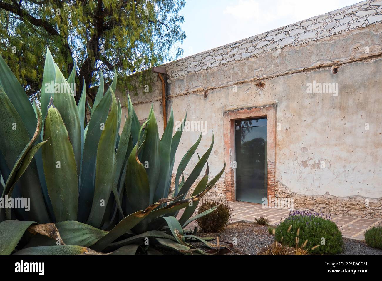 A Beautiful old rustic Mexican house with cacti and a blue sky of white ...