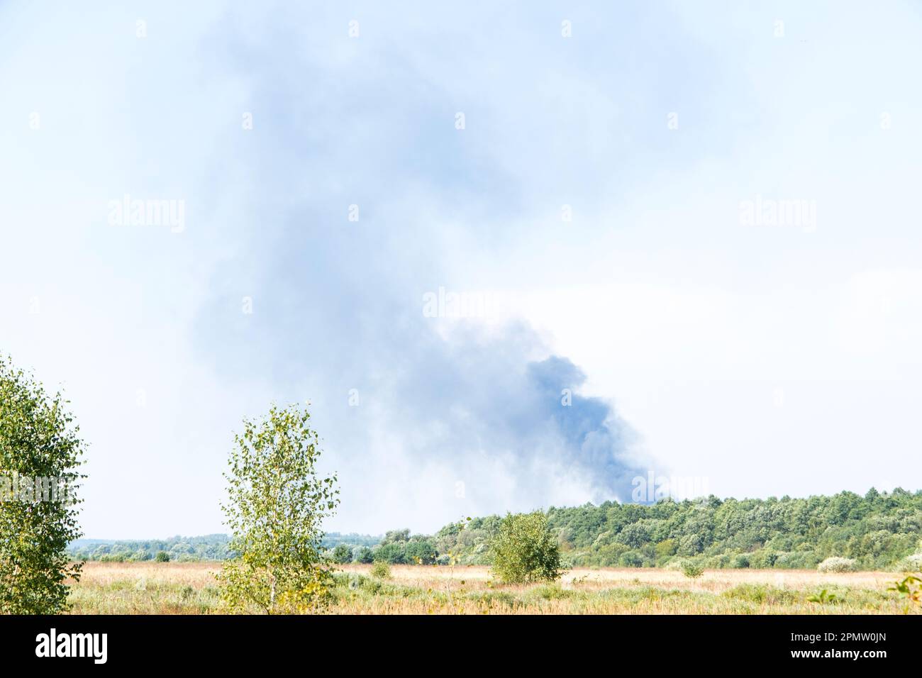 A forest fire from the heat in summer is black smoke. Spring grass fell ...