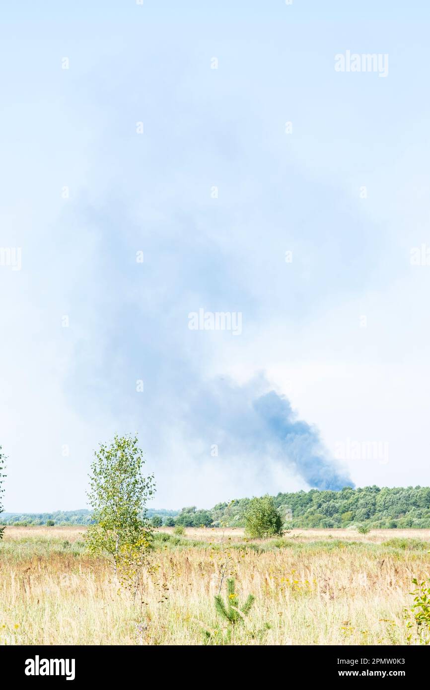 A forest fire from the heat in summer is black smoke. Spring grass fell ...