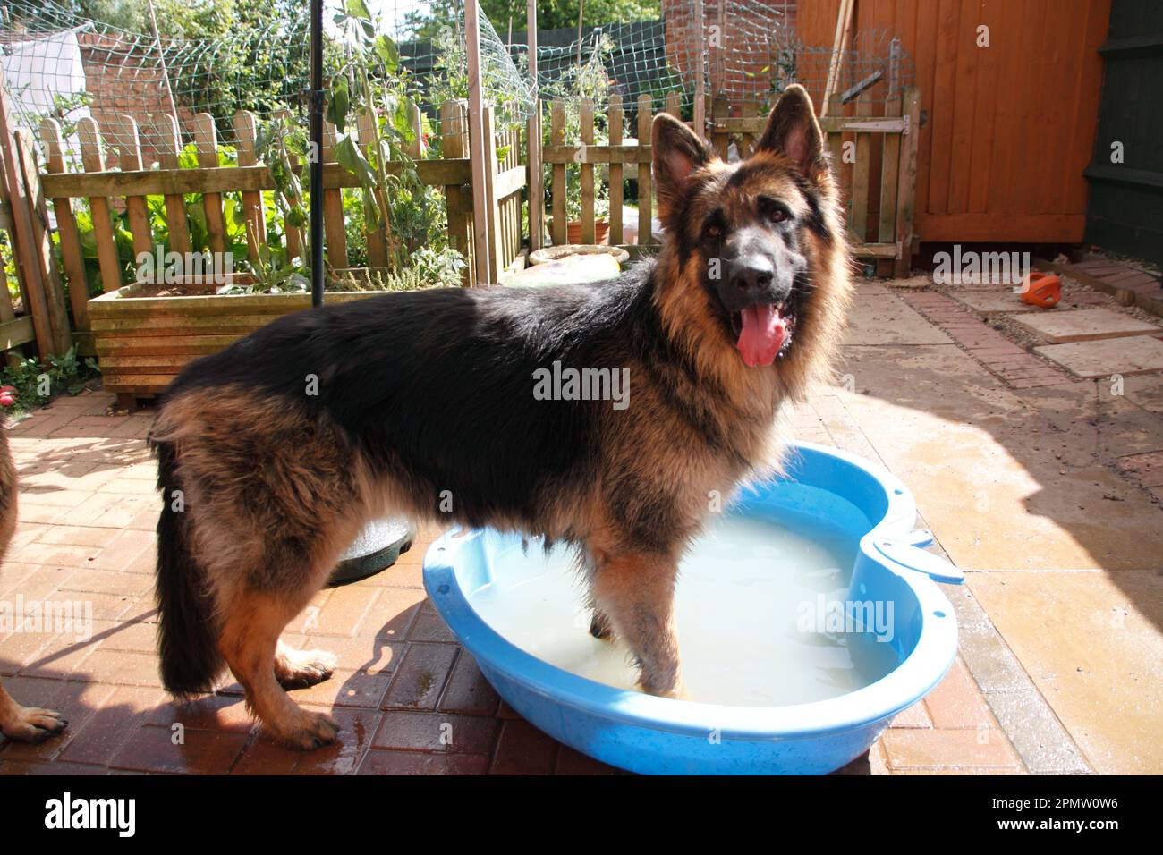 Paddling pool uk garden hi-res stock photography and images - Alamy