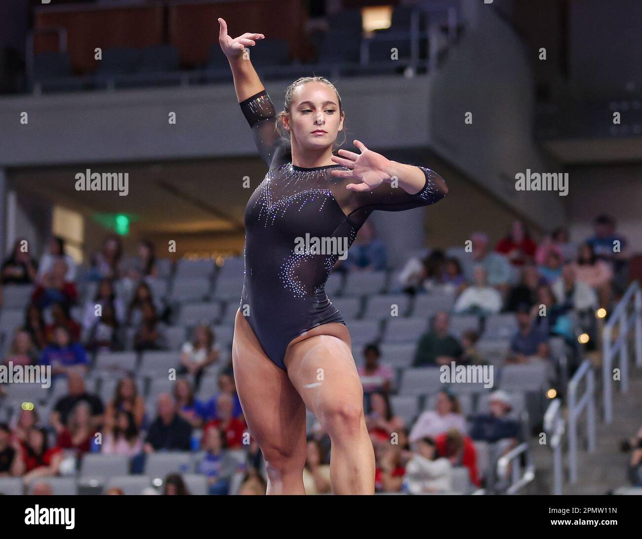 Fort Worth, TX, USA. 13th Apr, 2023. Stanford's Chloe Widner competes ...