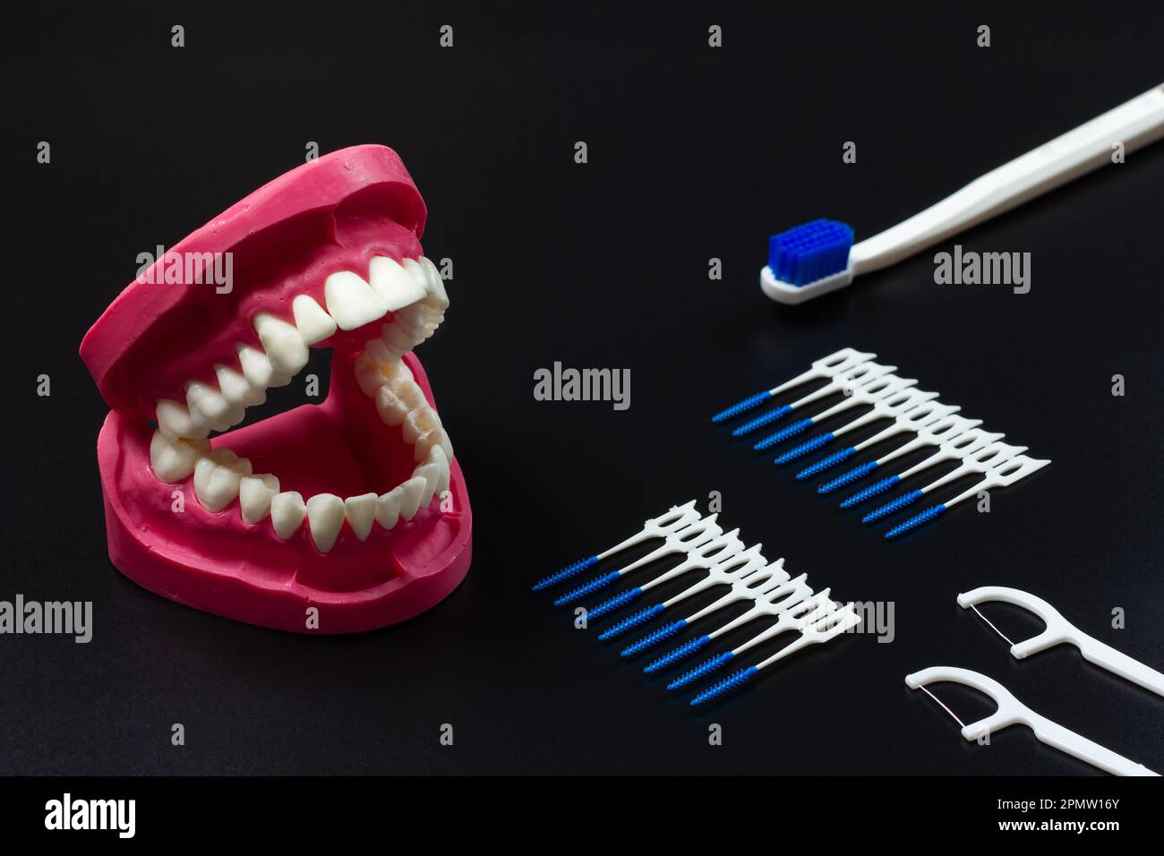 Human jaw layout, toothbrush, interdental toothpick brushes and ...