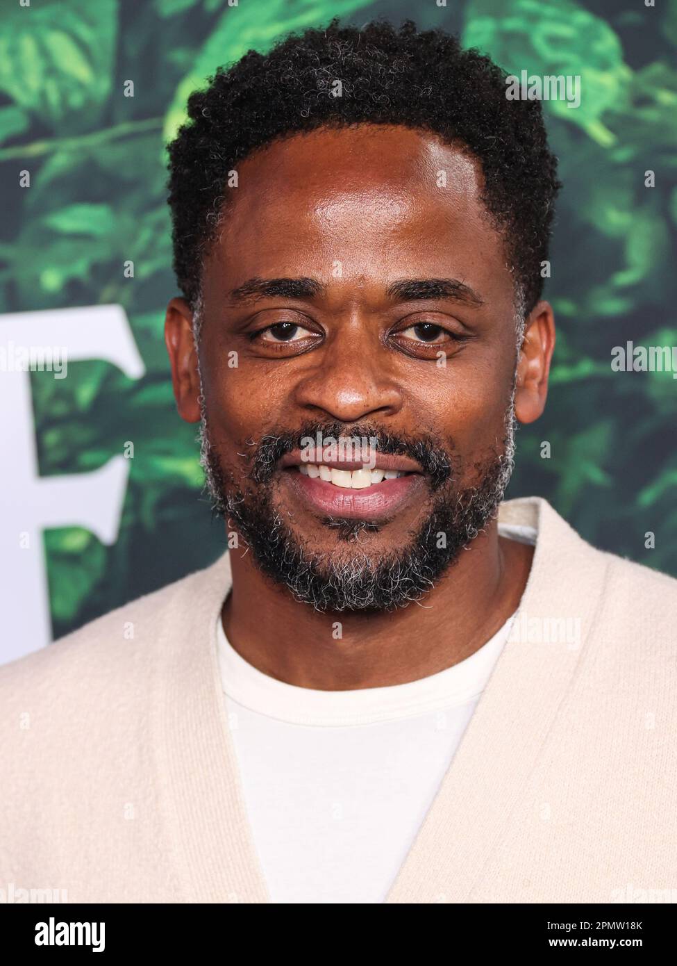 Dule Hill Beard