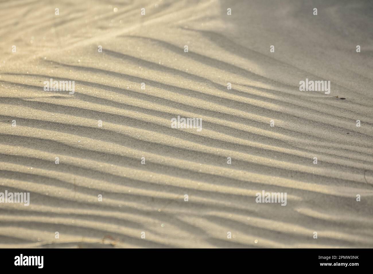 wonderful glittering sand with waves during the sundown on the beach in ...