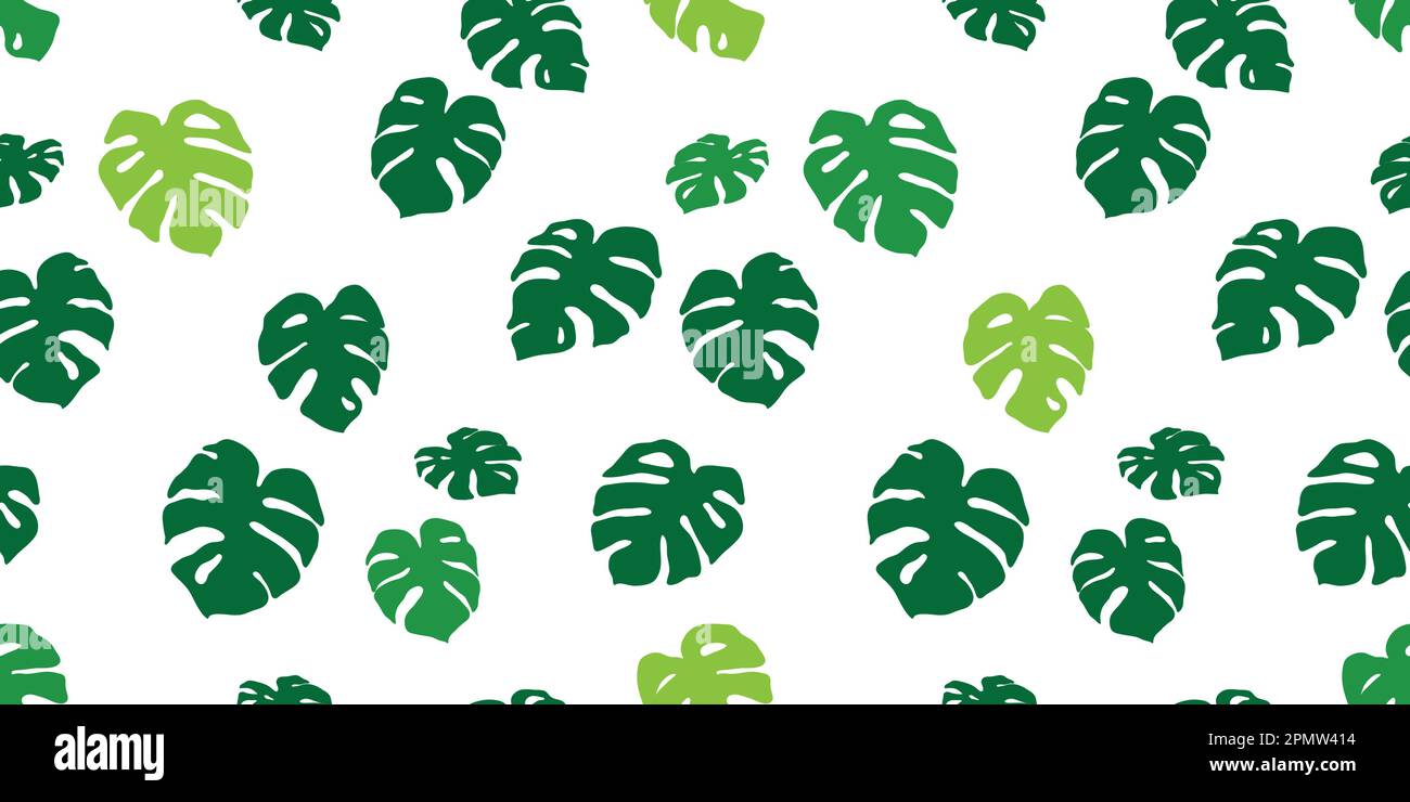 Monstera seamless pattern vector leaf leaves isolated wallpaper ...