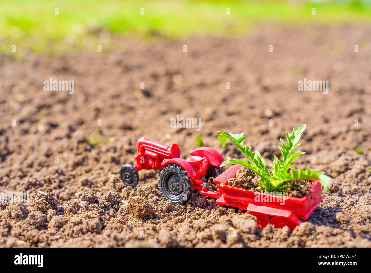 Red toy tractor with a small green seedling in its trailer is parked on ...