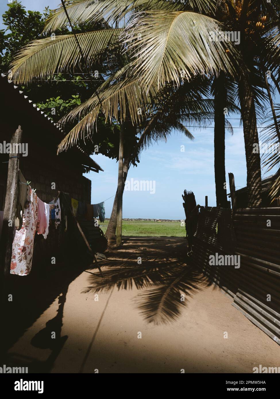 sri lanka, beach, sunset Stock Photo - Alamy