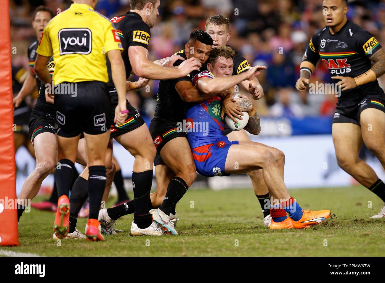 Kurt Mann of the Knights surges for the line during the NRL Round 7 ...