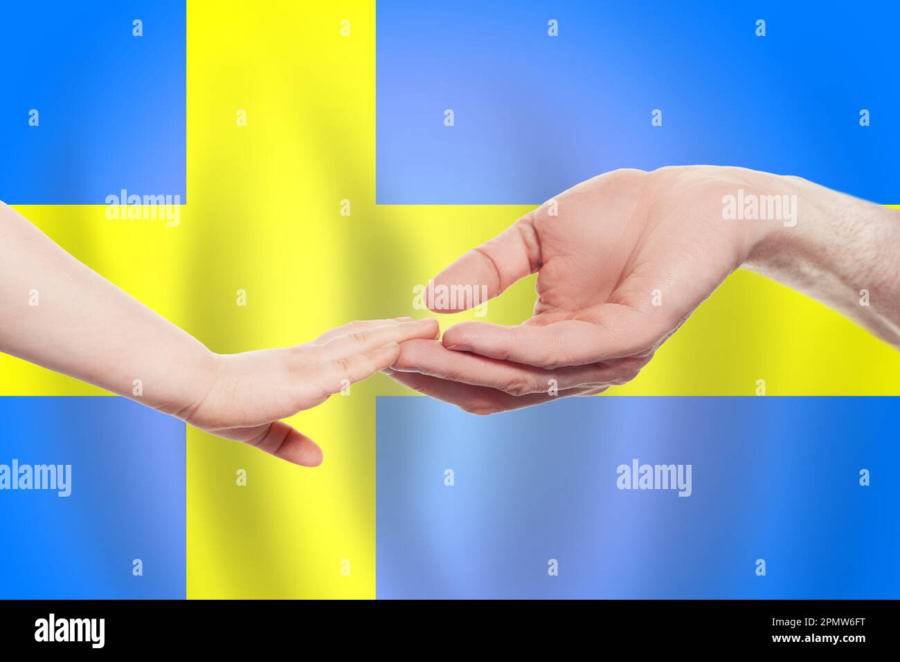 Swedish baby and parent hands on the background of flag of Sweden Help ...