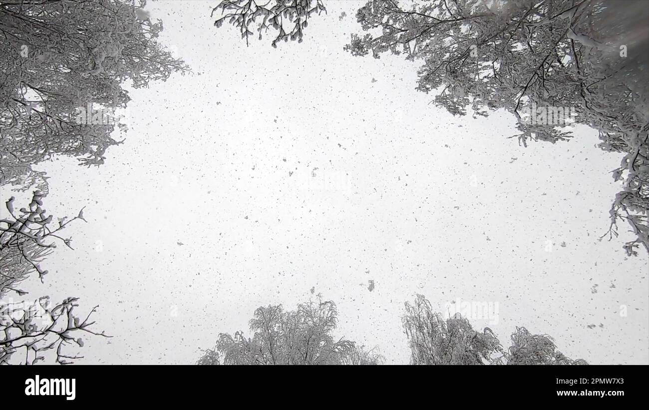 Many snow flakes falling from hi-res stock photography and images - Alamy