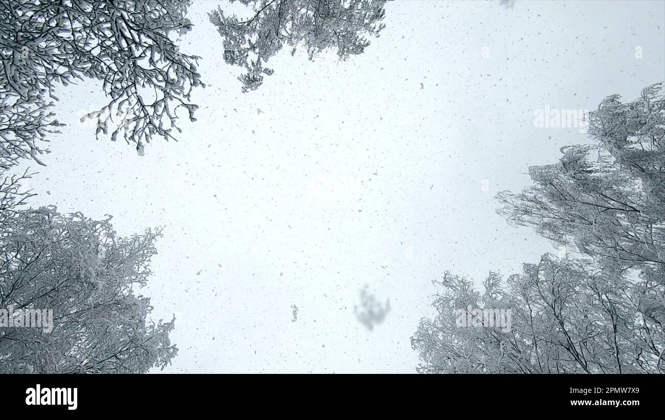 Heavy snow flakes falling slow hi-res stock photography and images - Alamy