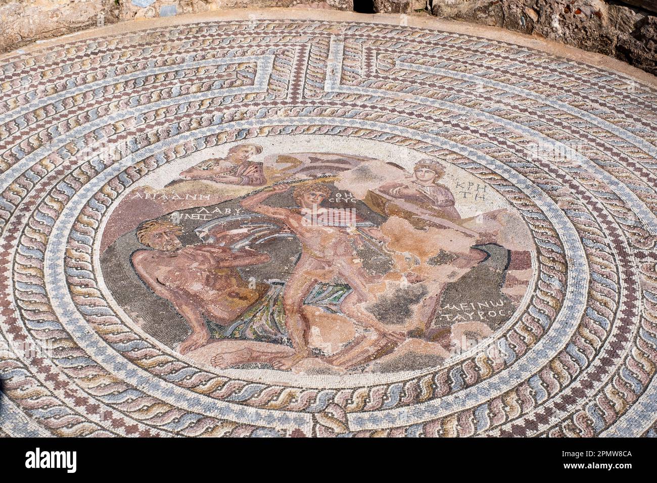 The House of Aion, Paphos, Cyprus: Mosaic floor depicted in a medallion ...