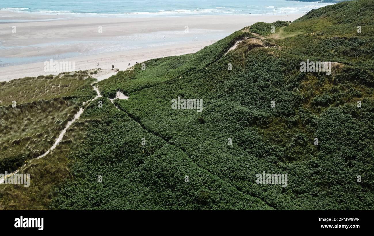 A hillside covered with plants on the shore of the Atlantic Ocean, top ...