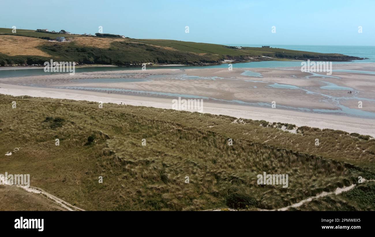 Huge sandy beach at low tide, top view. Sandy coast covered with ...