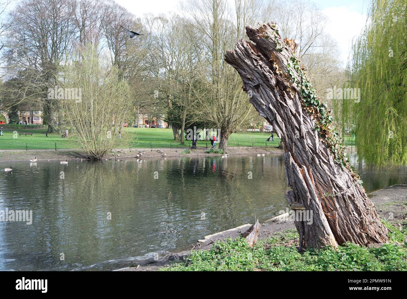 Low Angle View of Wardown Museum Public Park of Luton England Great ...