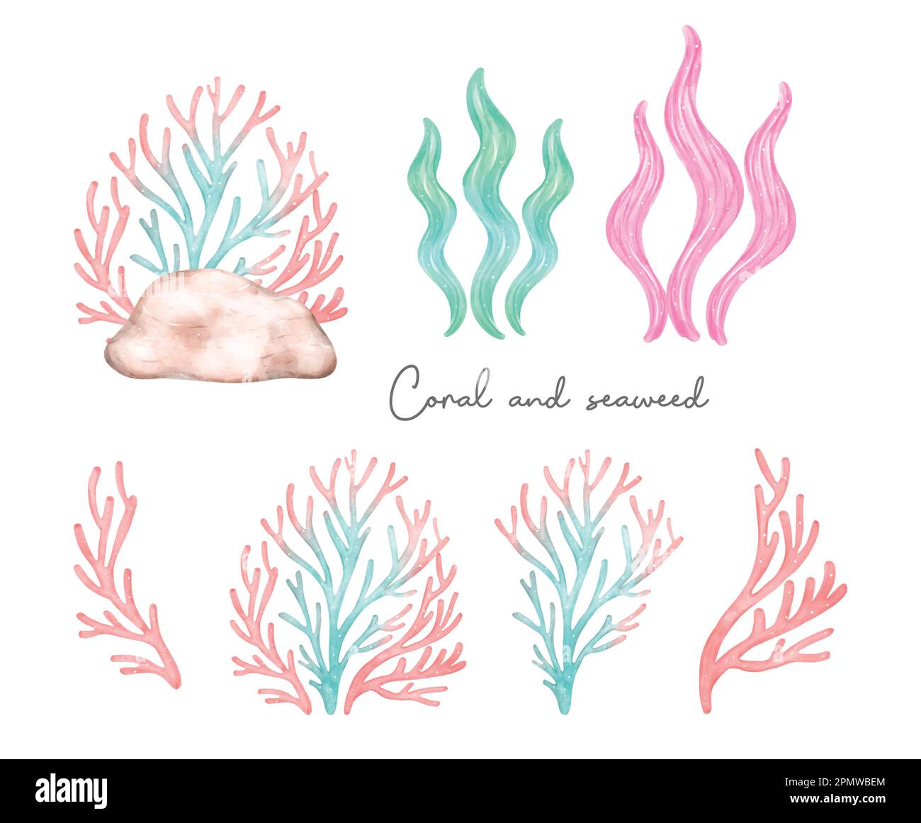 Cute colorful coral reef and seaweed pastel watercolor collection ...