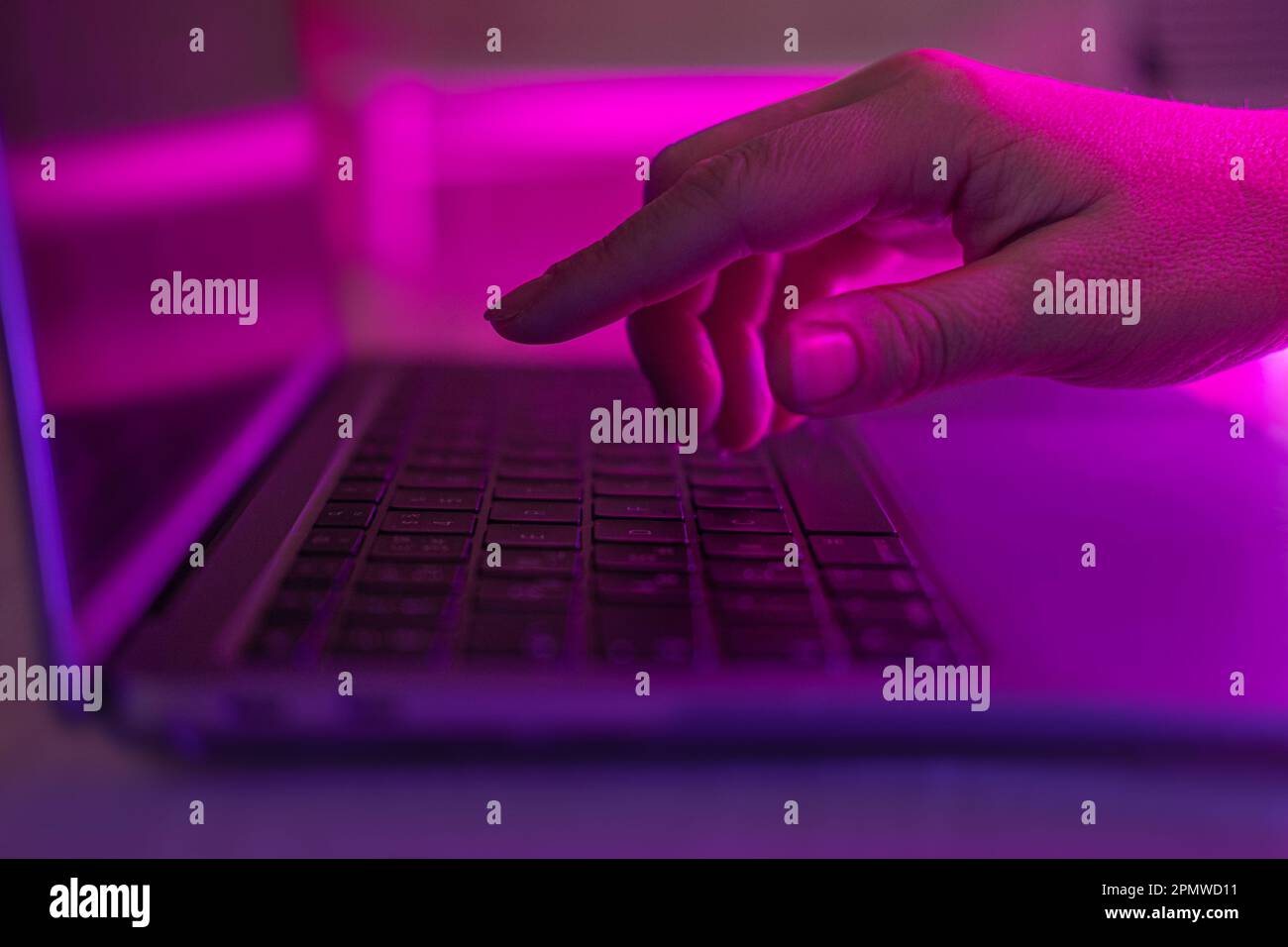 Person typing at laptop computer at night. Female uses keyboard, shakes ...