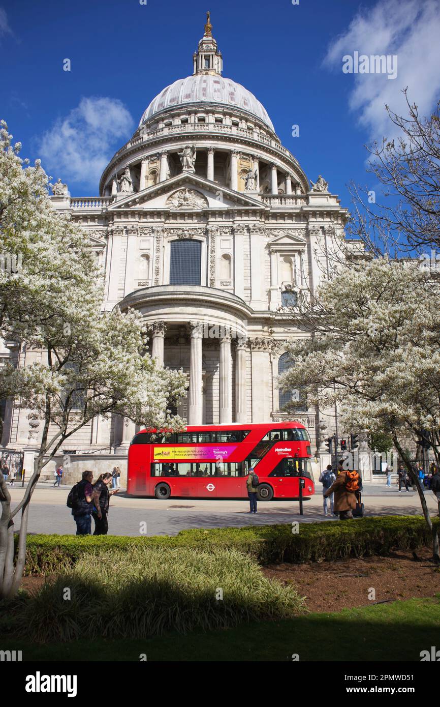 London Bus passing St Pauls Cathedral Stock Photo - Alamy