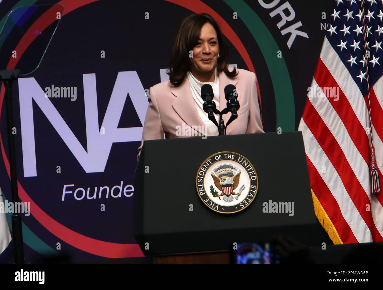 NEW YORK, NY - April 14: Hundreds gather to attend the 2023 National Action Network Convention ...