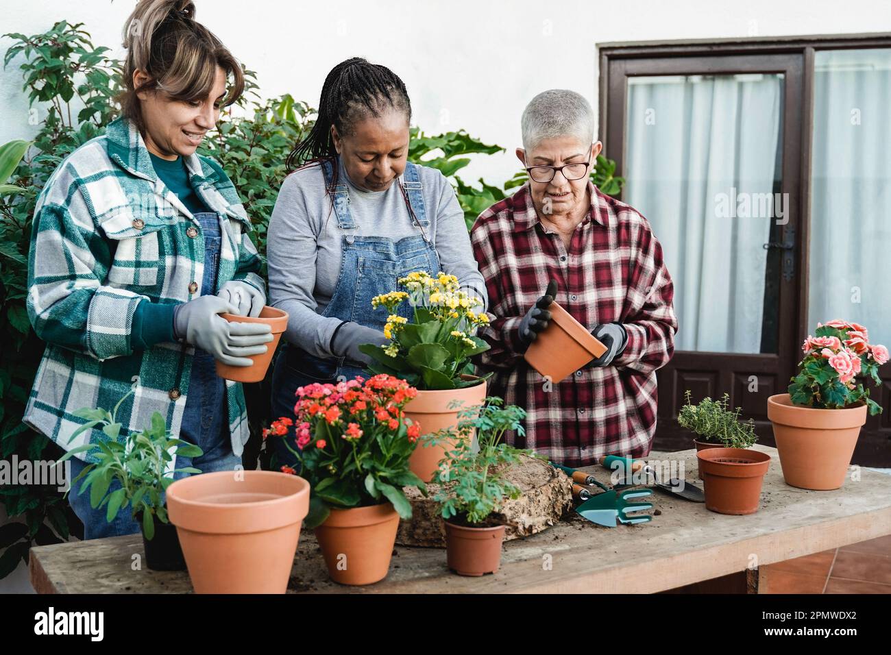 Multiracial senior farmer people gardening outdoor in home backyard ...