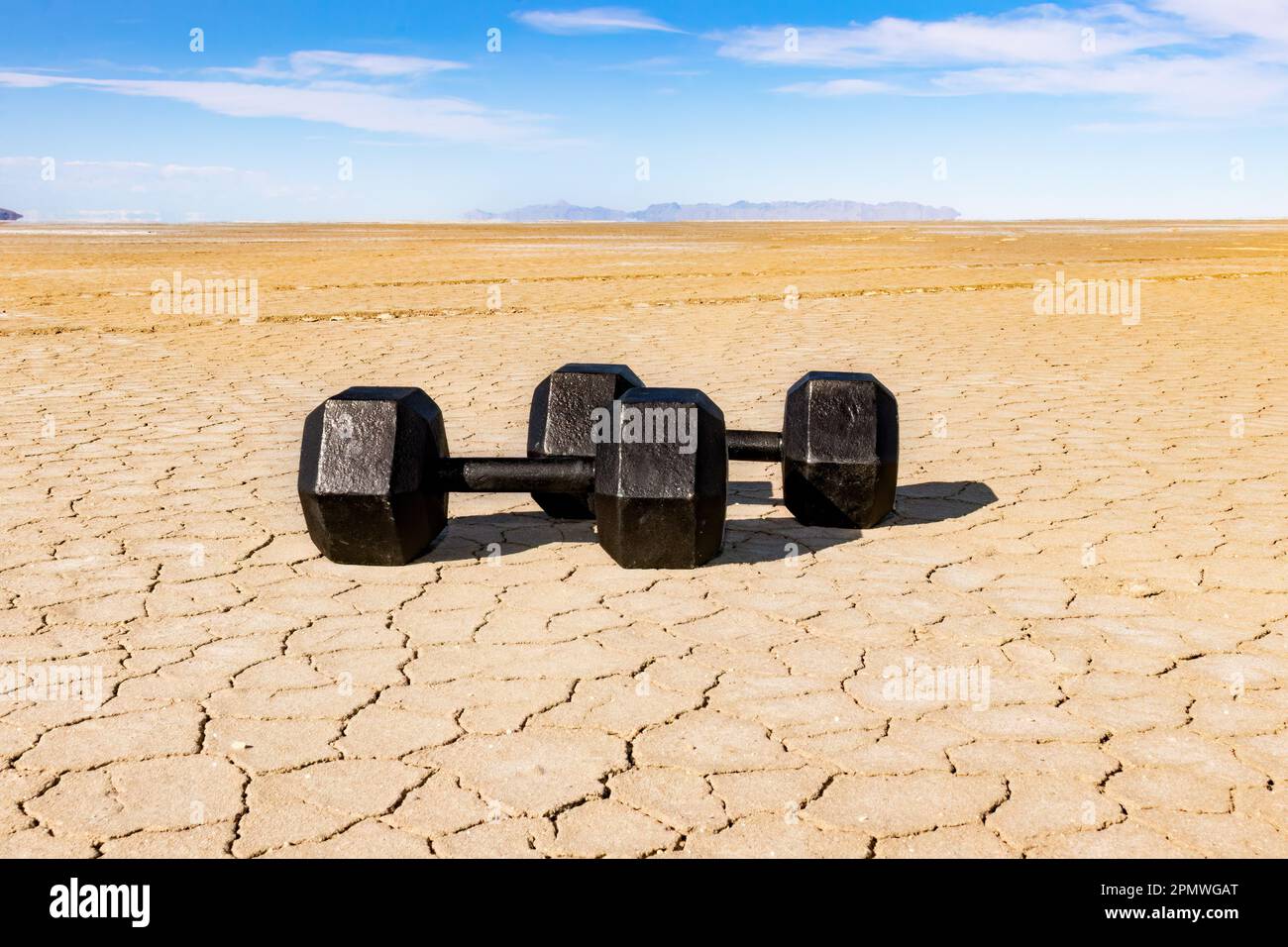 A pair of metal dumbbells sitting on the arid, cracked ground ...