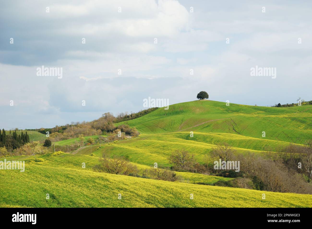 Tuscany, Italy, landscape from Vergelle, Montalcino, Italy Stock Photo ...