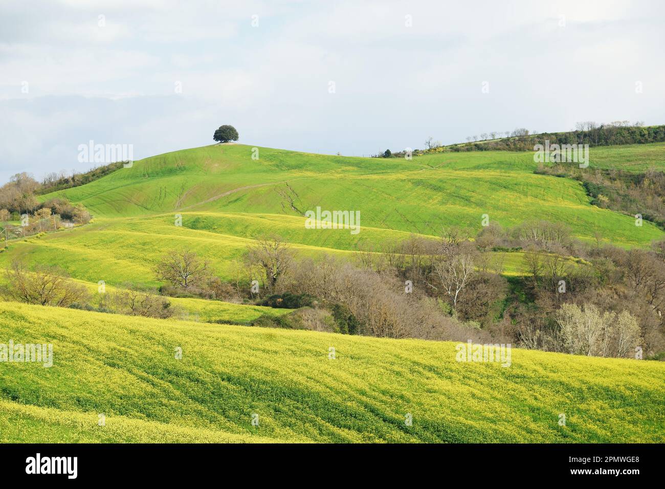 Tuscany, Italy, landscape from Vergelle, Montalcino, Italy Stock Photo ...