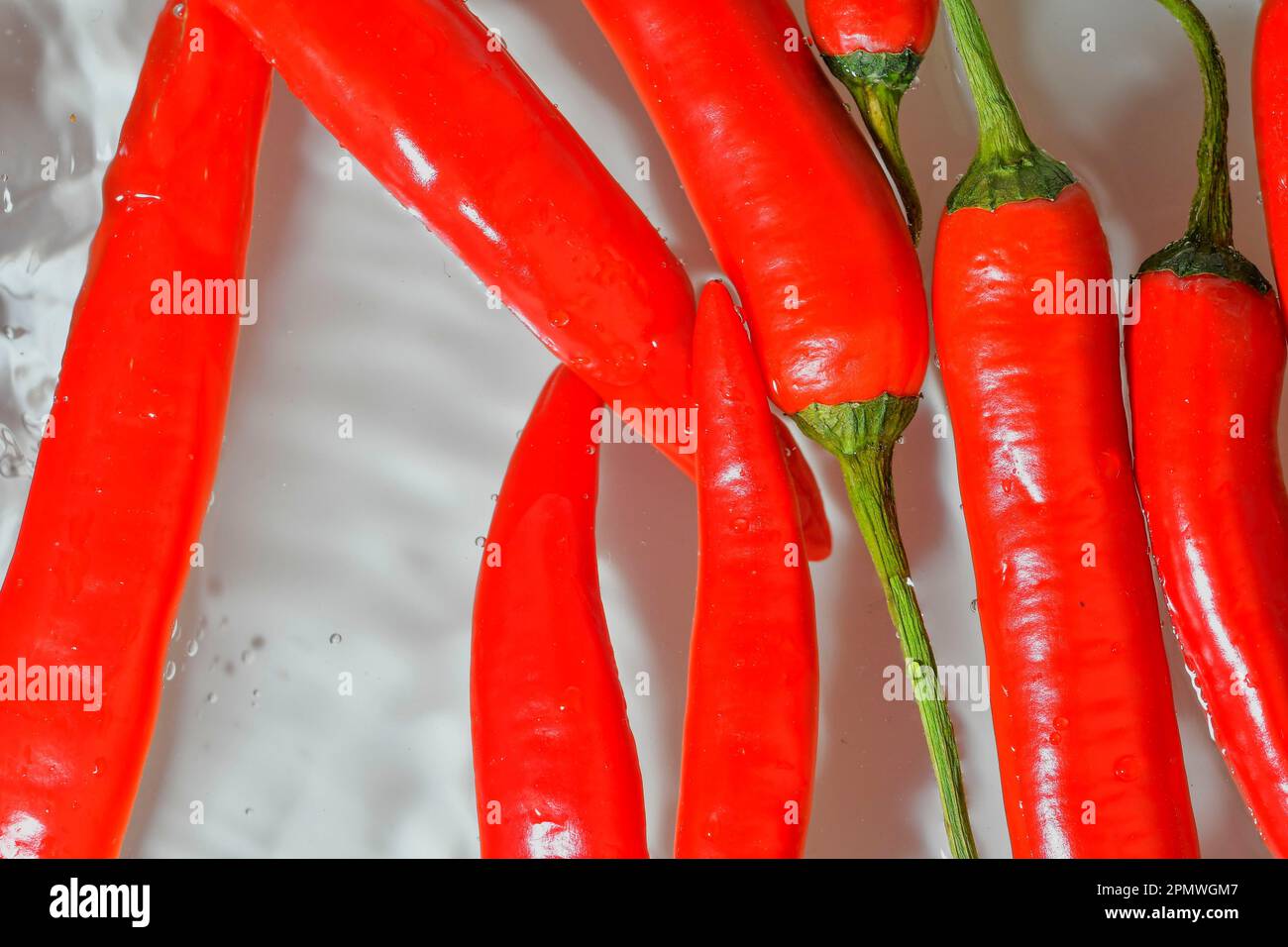 Close-up view of the red chilli peppers in water background. Texture of ...