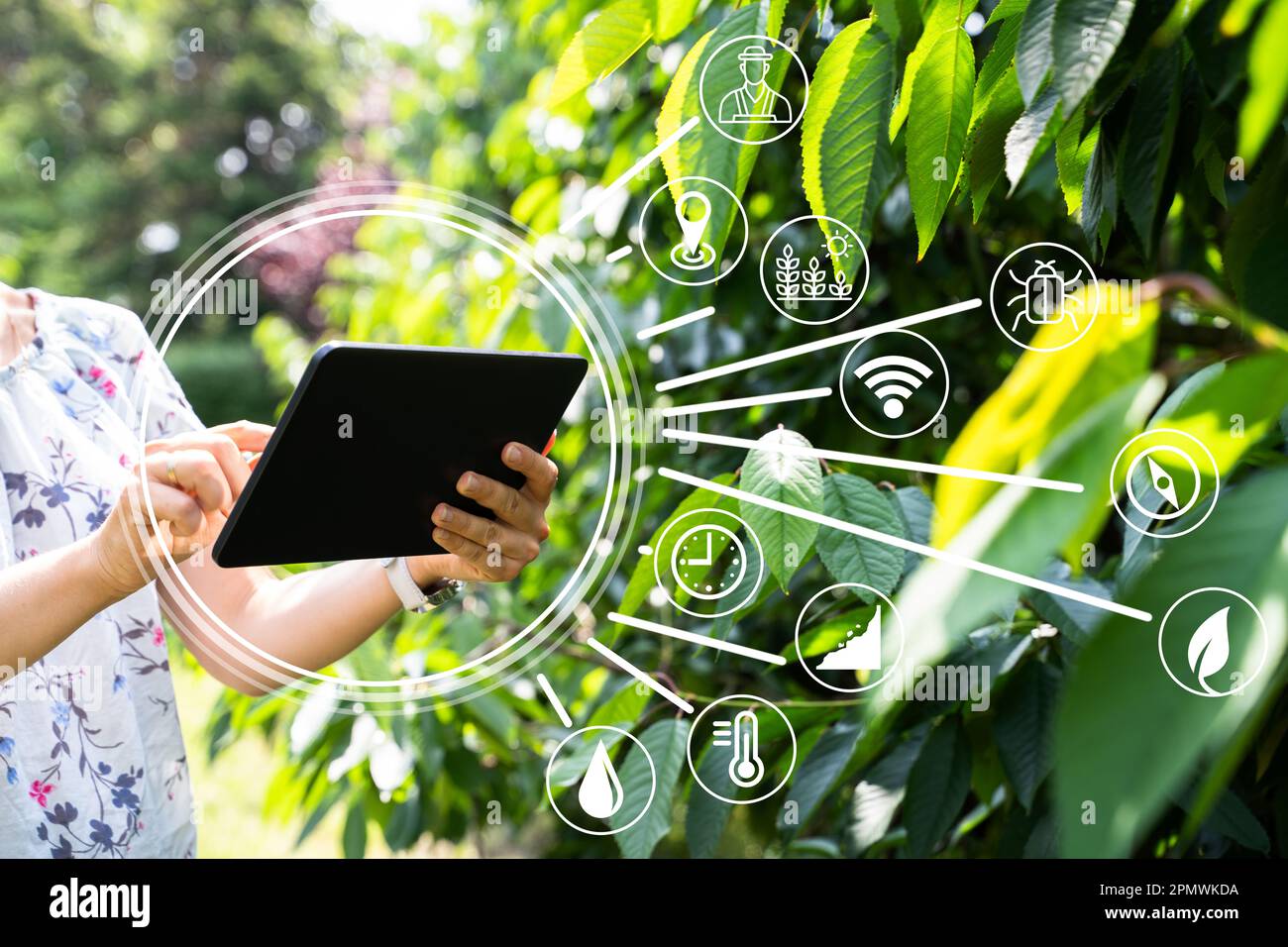 Smart Farming Digital Technology Agriculture App At Farm Stock Photo ...