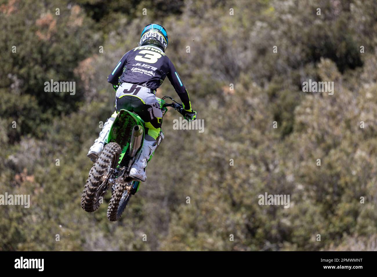 Forato alberto hi-res stock photography and images - Alamy