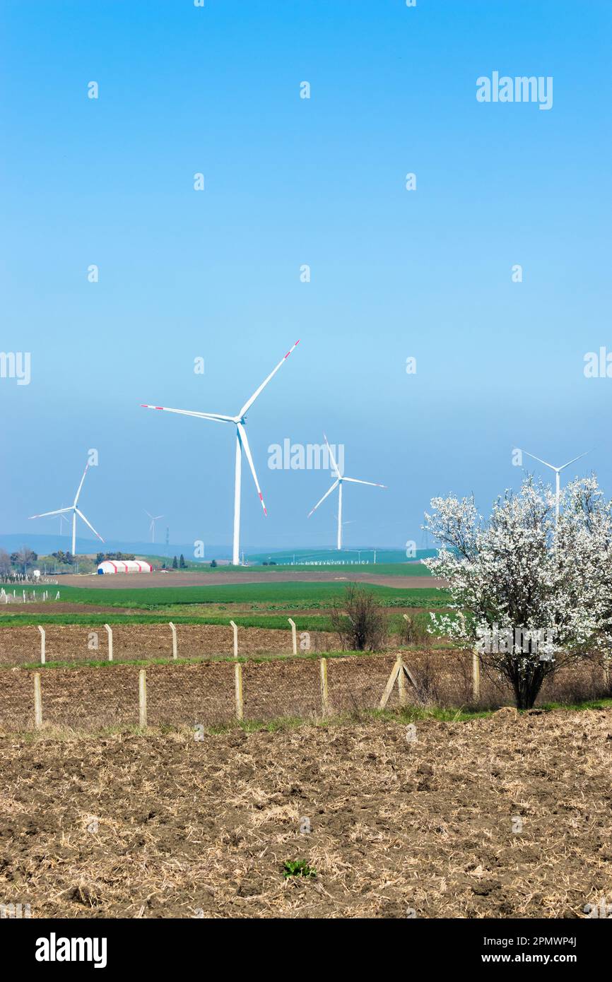 wind turbines generating energy from the wind, in nature, clear blue ...