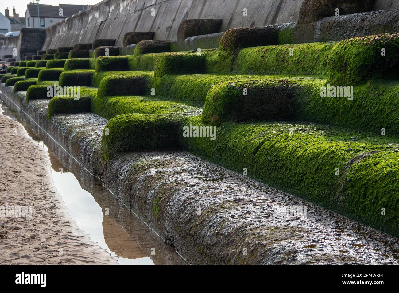 Beach steps at Eyemouth, Scotland, UK Stock Photo - Alamy