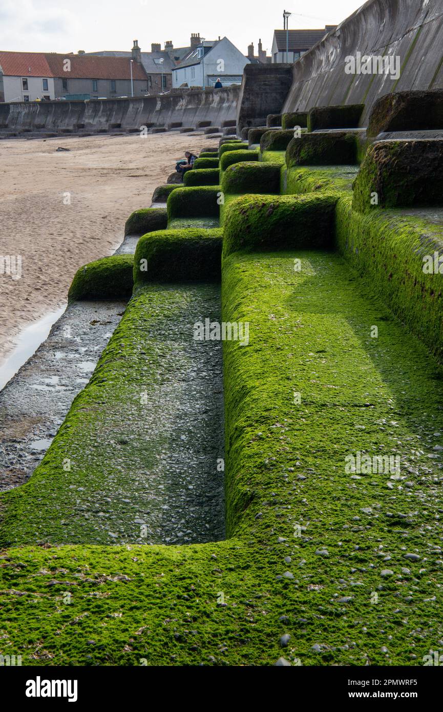 Beach steps at Eyemouth, Scotland, UK Stock Photo - Alamy