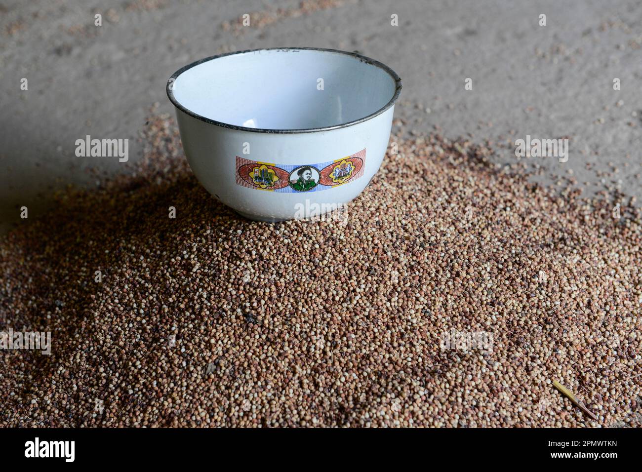 CHAD, Guéra, Bitkine, food storage of Caritas, seed bank with sorghum ...