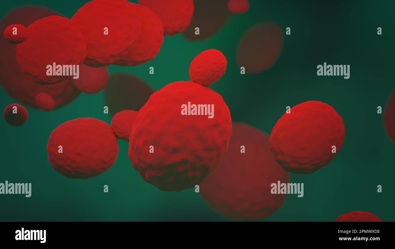 Candida auris yeast cells, 3d illustration. The fungi can enter the ...