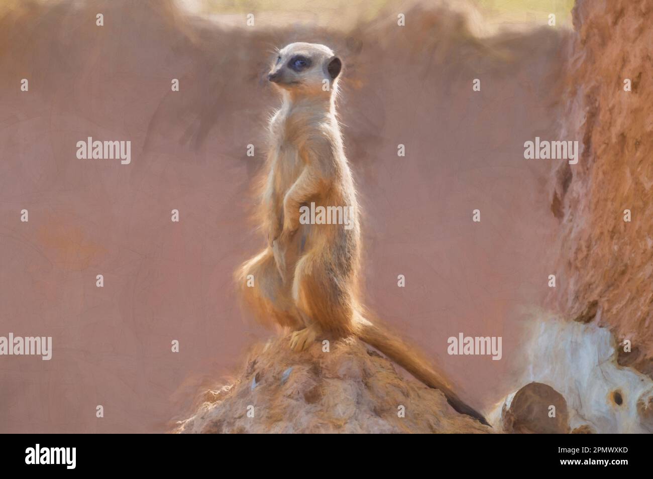 Digital painting of a single isolated close-up portrait of an alert ...