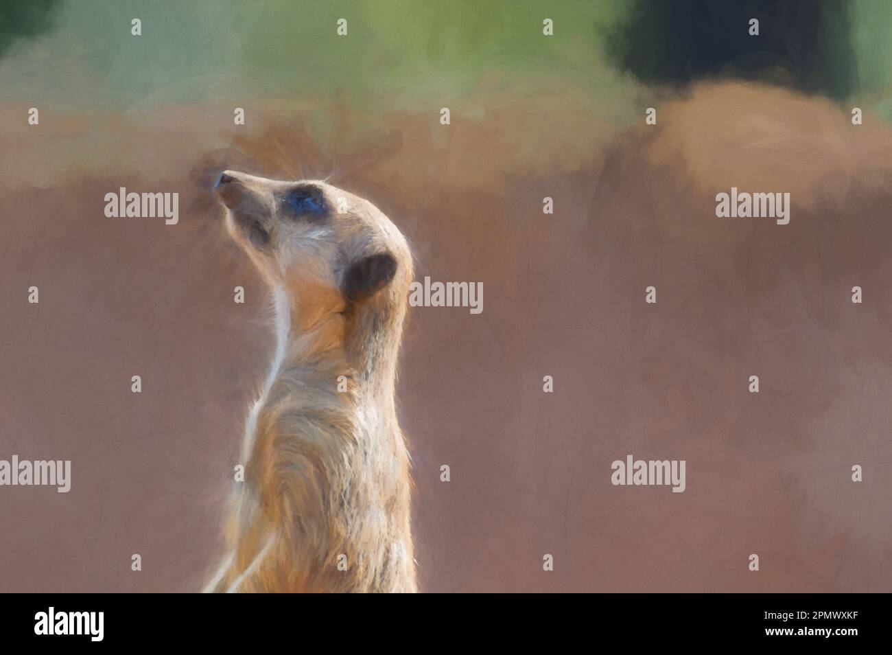 Digital painting of a single isolated close-up portrait of an alert ...