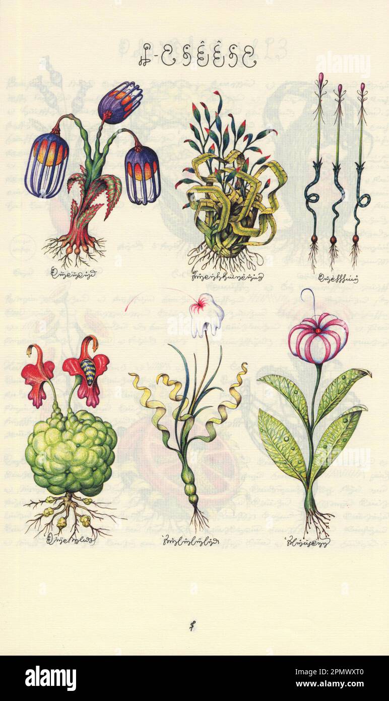 Codex Seraphinianus, Luigi Serafin. Illustrated encyclopedia of an ...