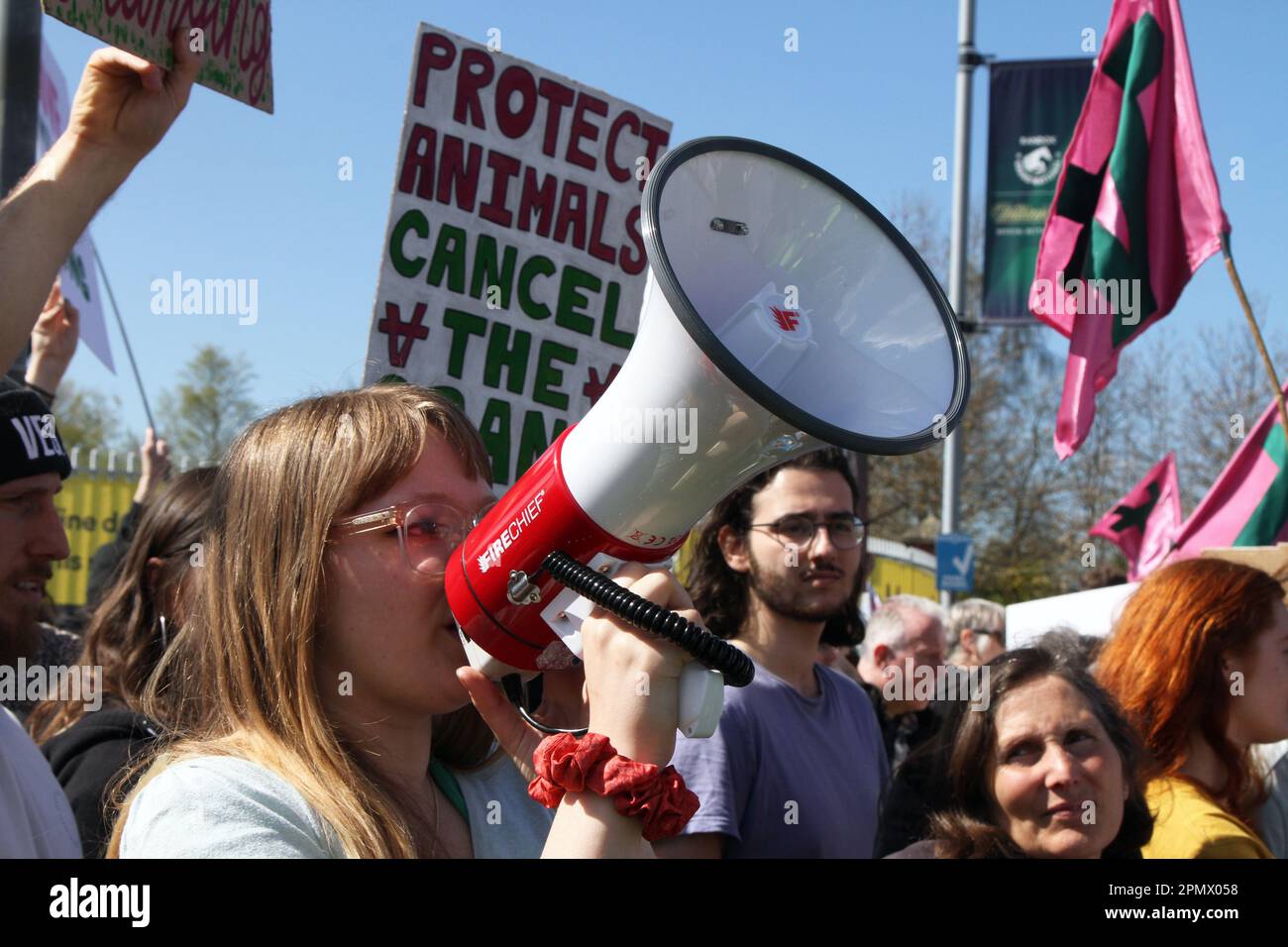 Protect animals cancel the race hi-res stock photography and images - Alamy