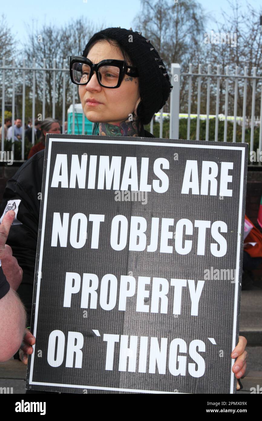 Animal Rising Action for animals protest group, disrupting the Grand ...