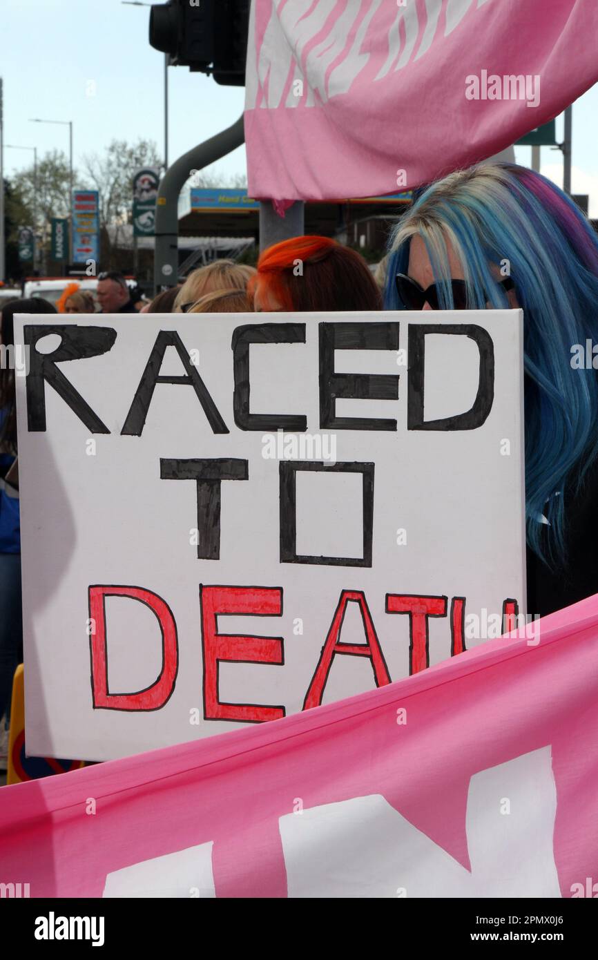 Animal Rising Action for animals protest group, disrupting the Grand ...