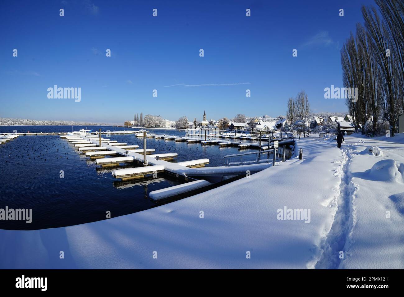 Lower part of Lake Constance, snow-covered shores of Steckborn ...