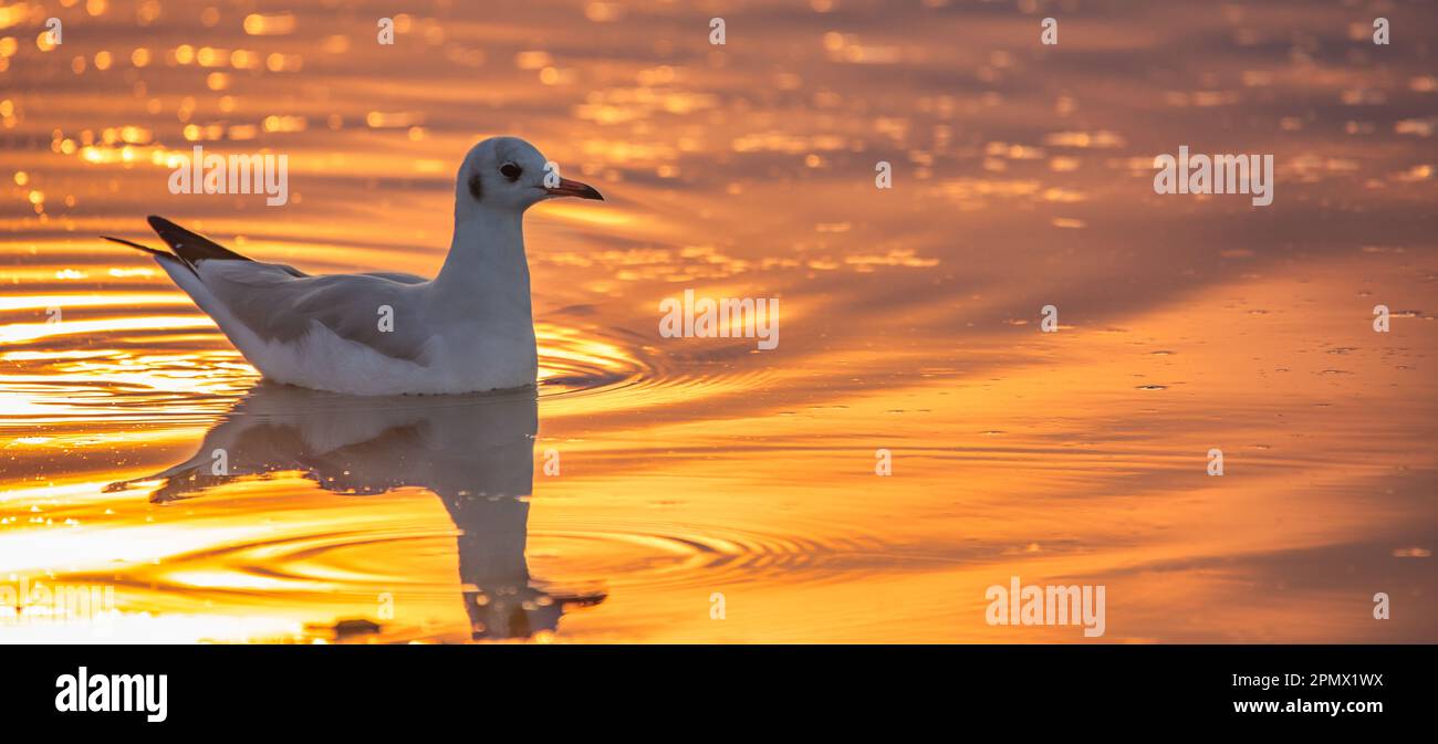 Experience the beauty of nature with this stunning photograph capturing ...