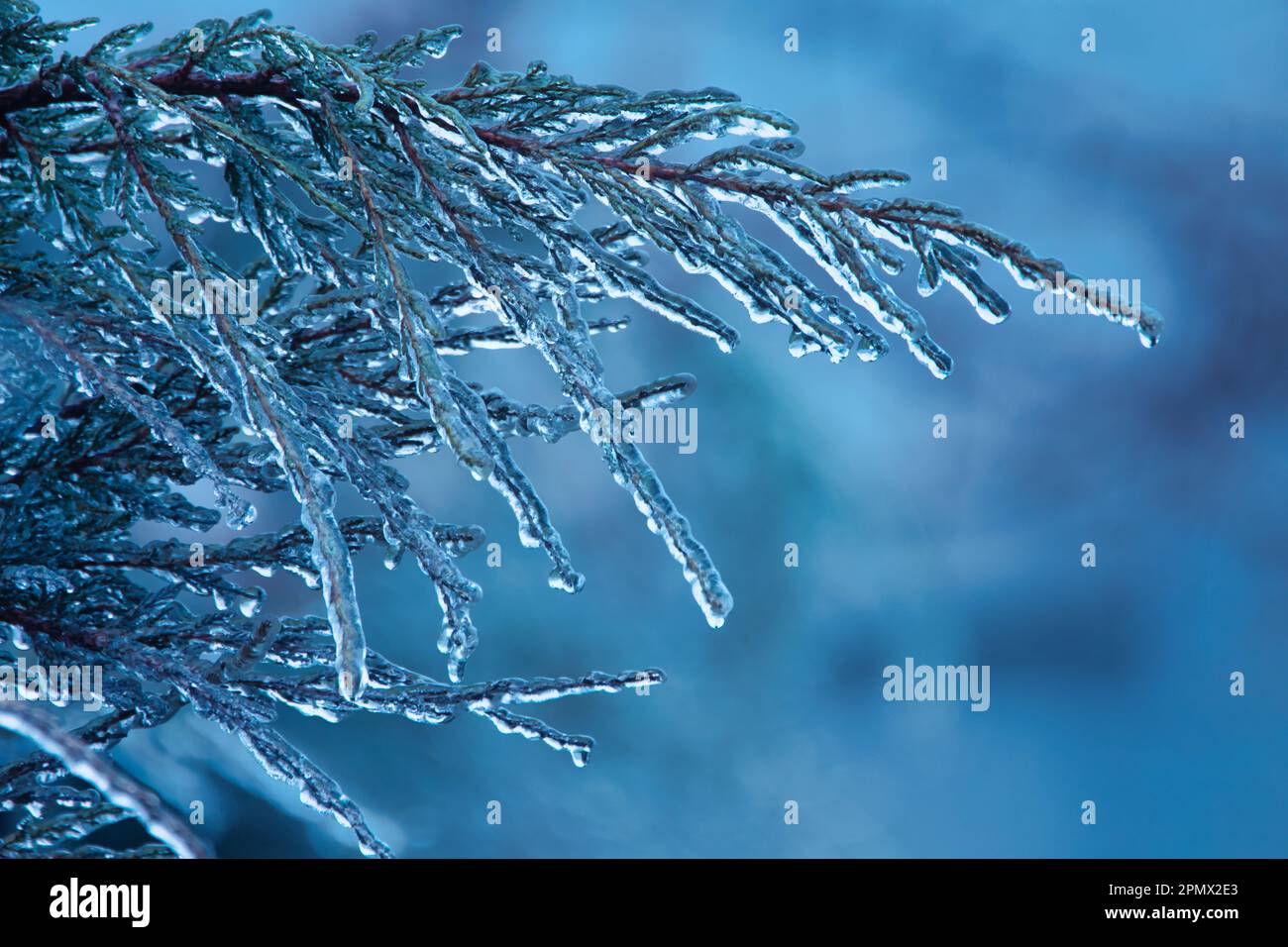 This photograph captures the magic of winter as it transforms the ...