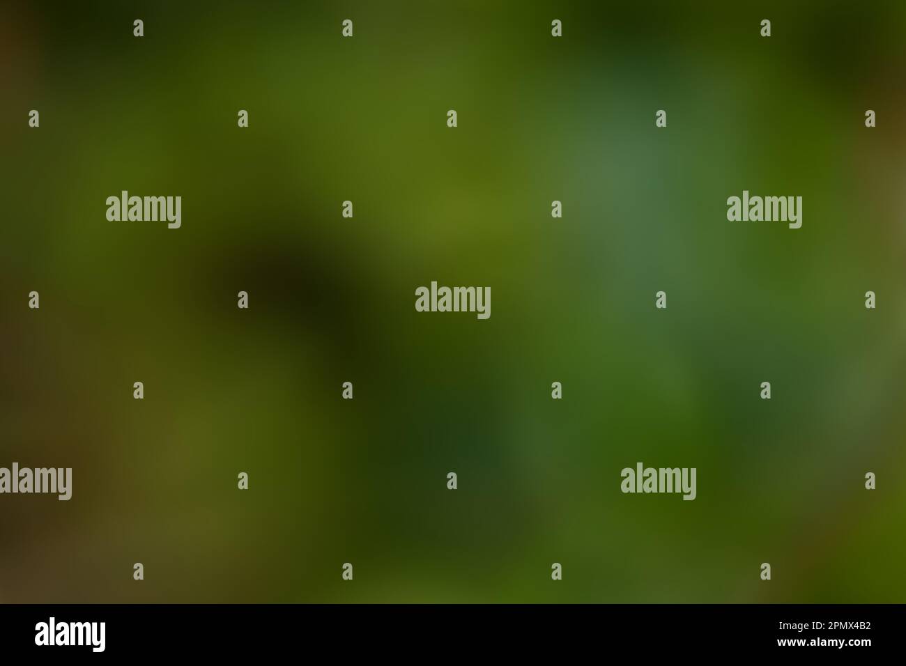 Defocused abstract leaf green background Stock Photo - Alamy