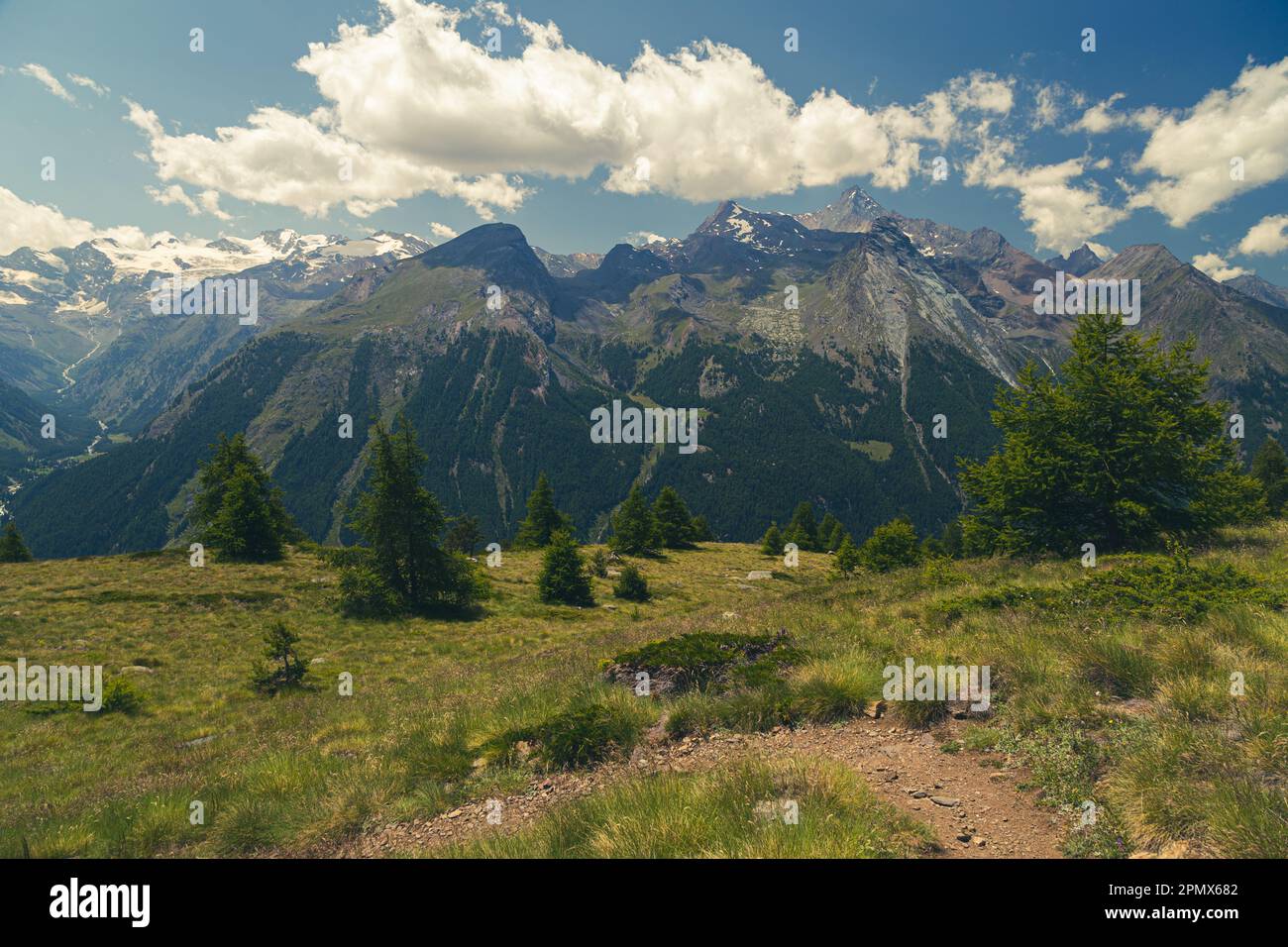 The beautiful valley in front of the Gran Paradiso in a summer day ...