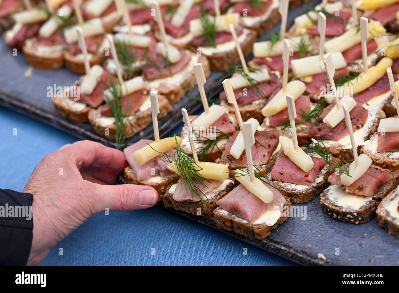 Beelitz, Germany. 13th Apr, 2023. Appetizers with maties, dill and ...